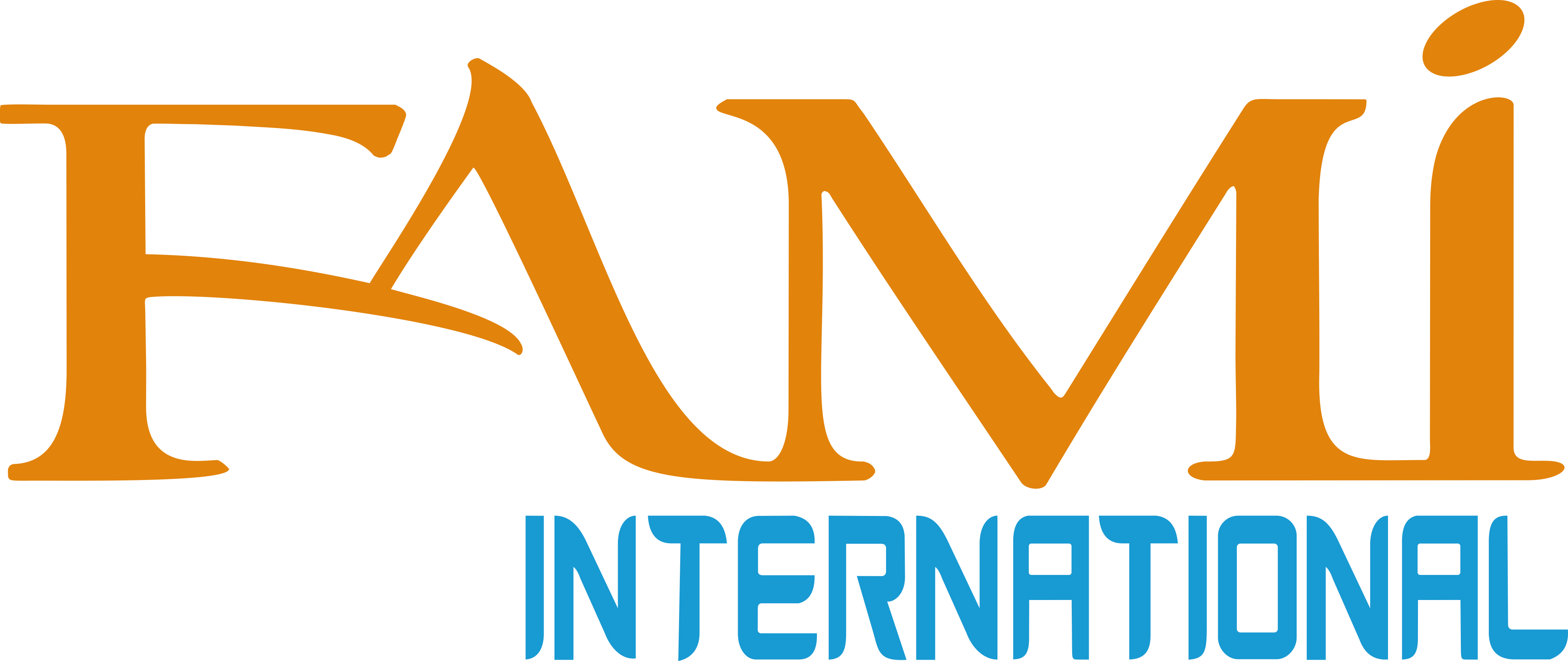 FAMI INTERNATIONAL